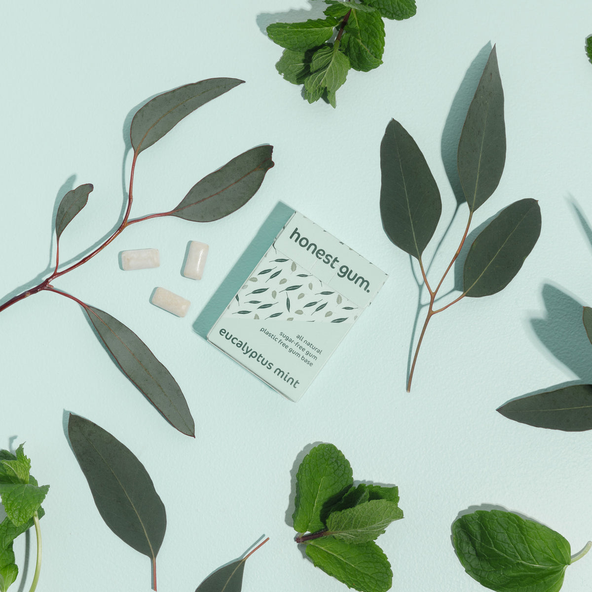 9 Pack (three of each variety pack) – Honest Gum